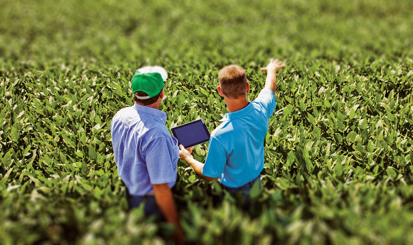 Produse – Agrimatco